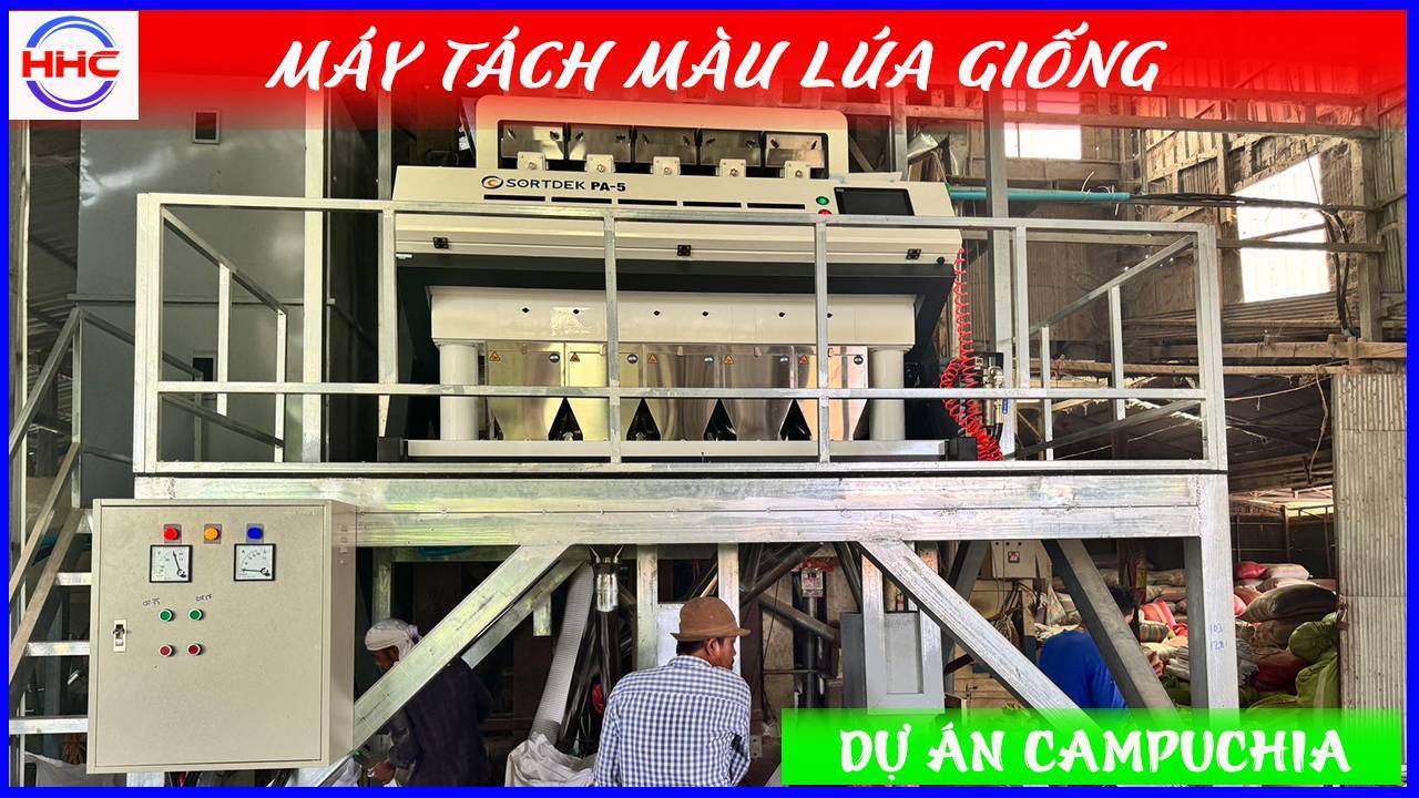 Máy Tách Màu Lúa Giống | Loại Bỏ Hạt Đỏ, Đen, Xanh,.. 95-99%